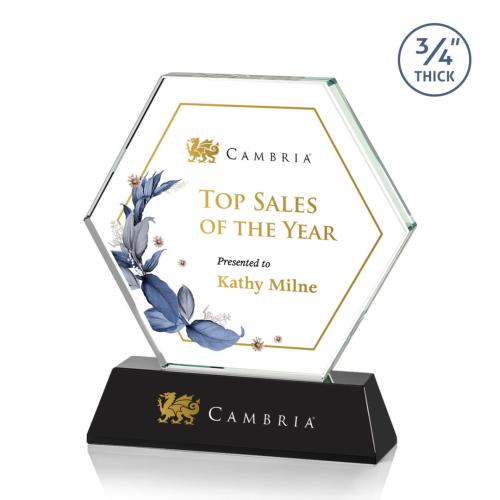 Colvin Full Color Black Polygon Crystal Trophy TFY-OPV9581-K